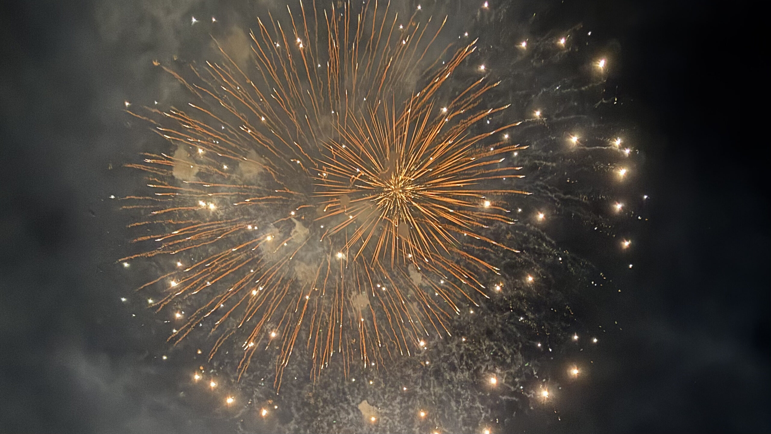 最近のいろいろ